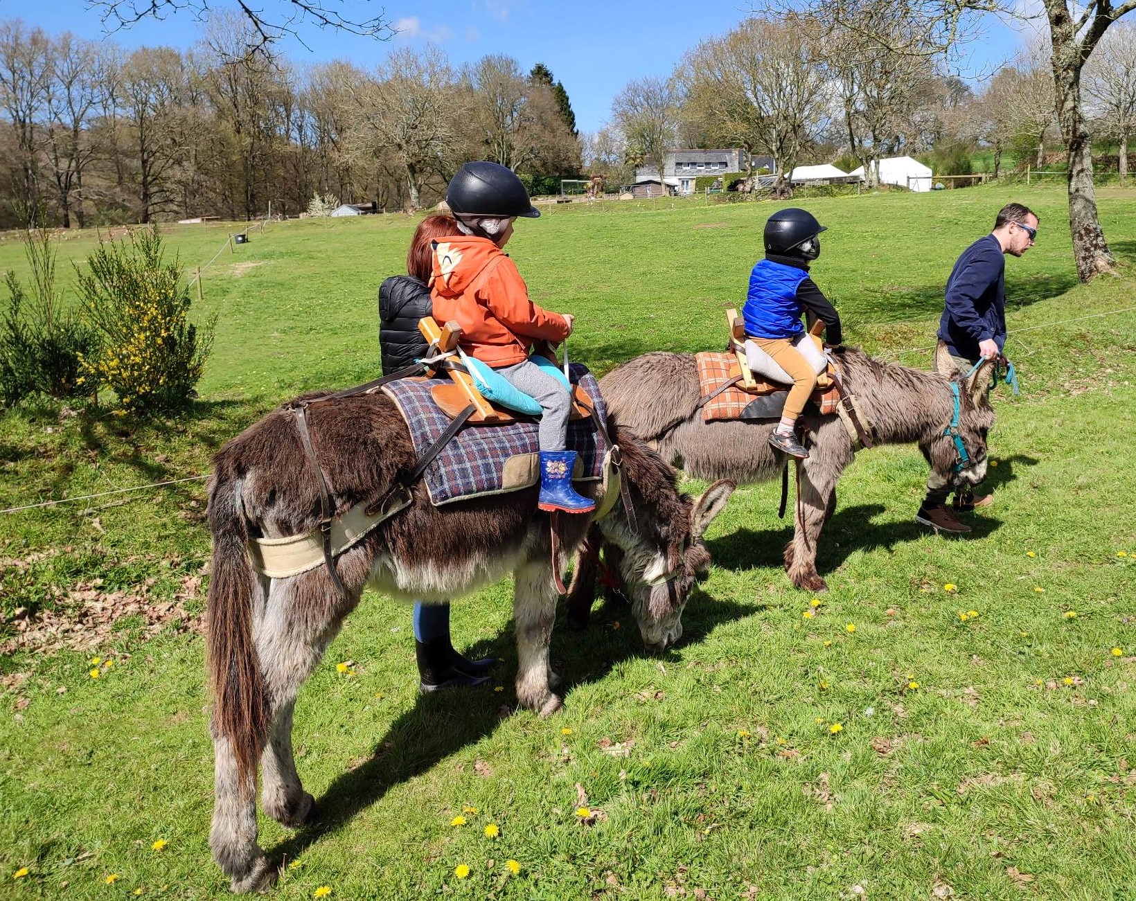 Atelier les petits âniers de 2 ans à 8 ans - La Combe Aux Ânes ...